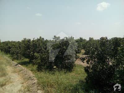 Best Options For Agricultural Land Is Available For Sale In Fatehpur ...