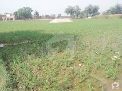 Agricultural Land For Sale On Budla Road Budla Road, Multan ID6432284 ...