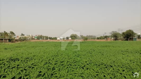 78 Kanal Land For Sale Jati Umrah Road Near Adda Plot Raiwind Road ...
