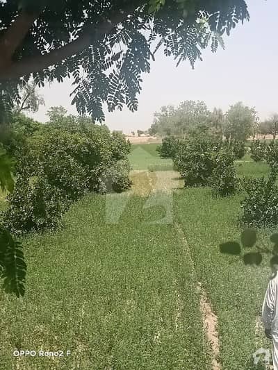 800 Acre Agricultural Land Nehri Near Laya Northern Bypass, Multan ...
