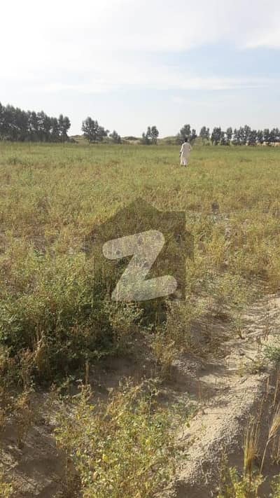 Army Agricultural Land For Sale Mankera, Bhakkar ID37638804 - Zameen.com
