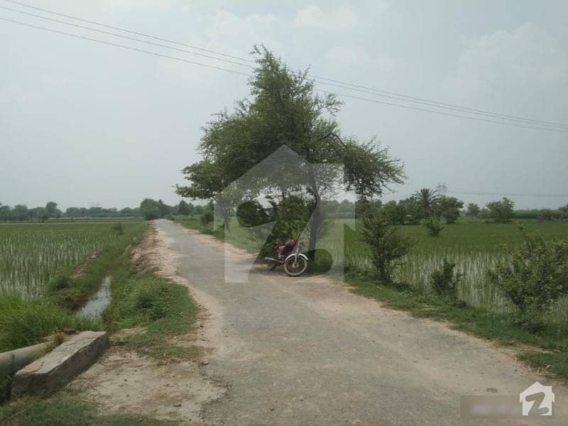 Agricultural Land 9.5 Acres Jhang Sadar, Jhang ID31467202 - Zameen.com