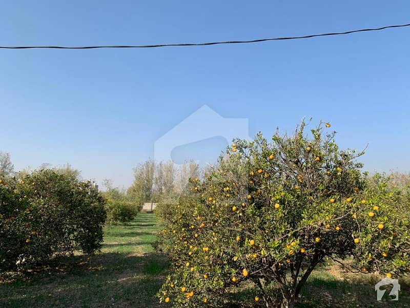 Get In Touch Now To Buy A Commercial Plot In Chechian Chechian Chechian ...