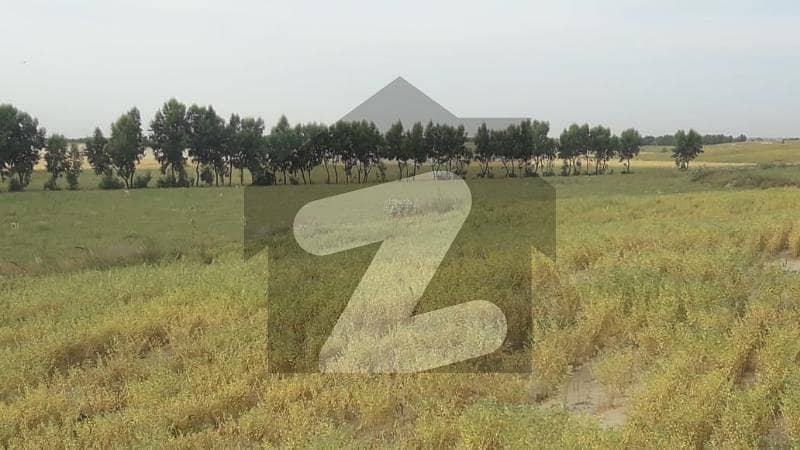 Property For Sale In Mankera Mankera Is Available Under Rs. 19,500,000 ...