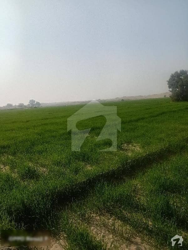 100 Kanal Agriculture Land Army Allotted Near Chwok Serwar Shaheed ...