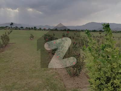 Plots for Sale in Hayatabad Peshawar - Zameen.com