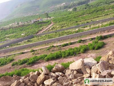 10 Marla Plots For Sale Adjacent To D12 Margalla Face Ideal Location D ...