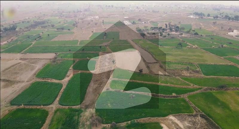 Main Access 2.5 Kanal Farm House Agro Park Society Chak Beli Road ...