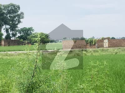 Agriculture Land For Sale Sambrial, Sialkot ID40313479 - Zameen.com