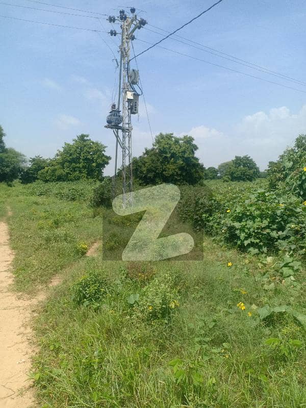 5 Acres Wonderful And Beautiful Farmhouse Land With Various Types Of ...