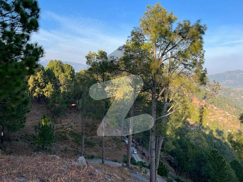 Take Plot With Beautiful Views Of The Lush Green Murree Mountains New ...