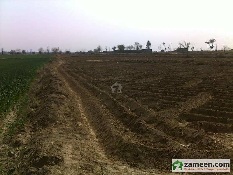 Farm Land For Sale Jhang Bahtar, Wah ID2030143 - Zameen.com