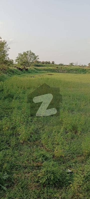 11 Kanal Agricultural Land Chakwal Balkasar, Chakwal ID42631716 ...