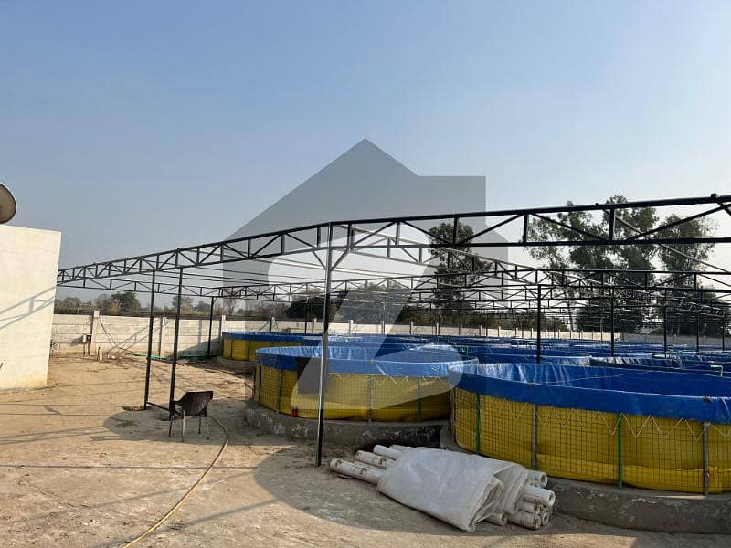 11 Kanal Beautiful Fish Farm For Sale Location At Lakhoki Le Green ...