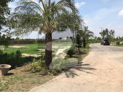 4 Kanal In Farm House Plot In Society Barki Road, Cantt, Lahore ...