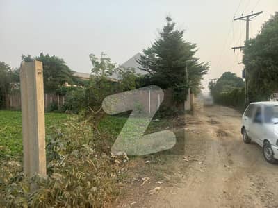 10 Kanal Farm House Prime Location Located on Thethar Village Near ...