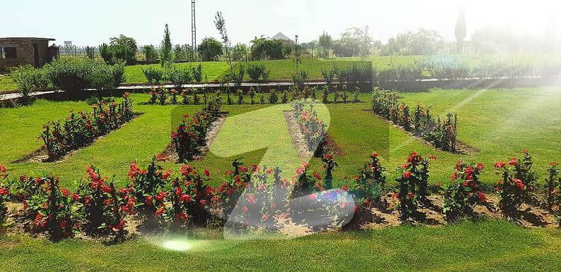 Regi Model Town 10 Marla Plot Available Regi Model Town Phase 3, Regi ...