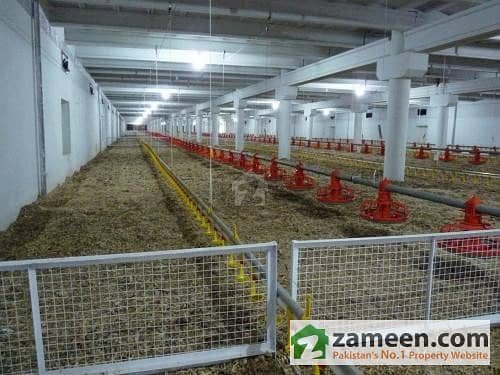 Poultry Control Shed For Rent Ferozepur Road, Lahore ID398314 - Zameen.com