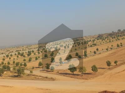 Balloted File ready for Possession boulevard DHA Valley - Lilly Sector ...