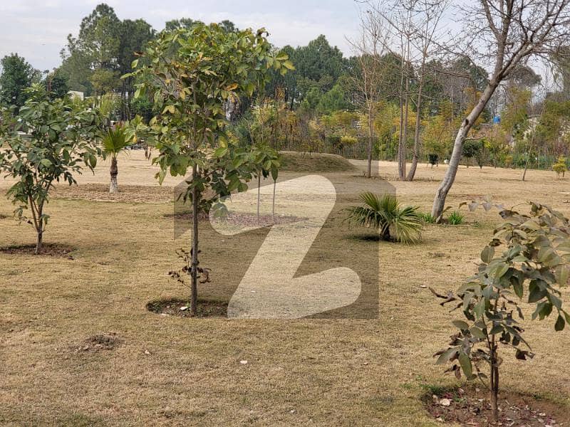 Corner Plot On Main Embassy Road With 210 Feet Front And Park Facing G ...
