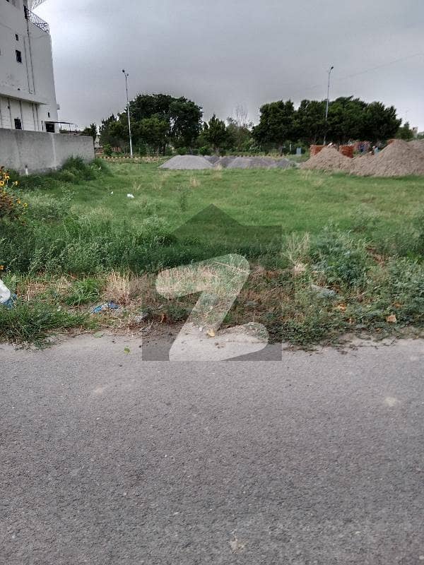 Agricultural Land In Thethar Sized 72000 Square Feet Is Available ...