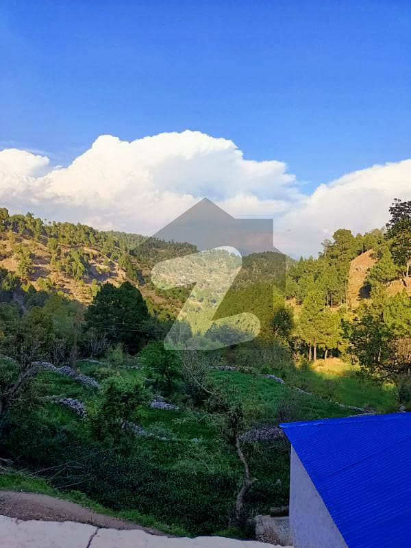 1000 Kanal Compact Piece Of Land For In Pir Sohawa Islamabad Road Pir ...