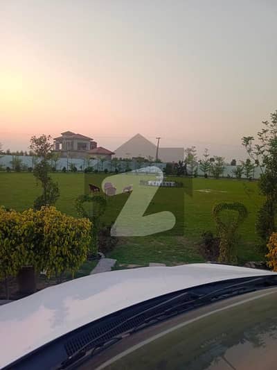 To Sale You Can Find Spacious Farm House In Barki Road Barki Road ...