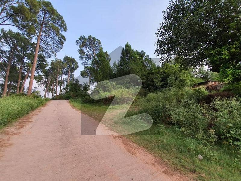 Ideal Residential Plot In Nature Available On Angoori Road, Near ...