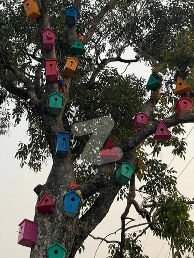 Prime Location 4 Kanal Farm House For Sale In Barki Road Paradise Barki ...