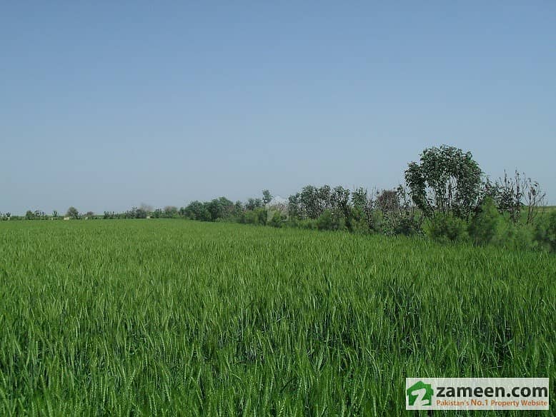 30 Acre Agriculture Land At Mankera Bhakkar Mankera, Bhakkar ID7203082 ...