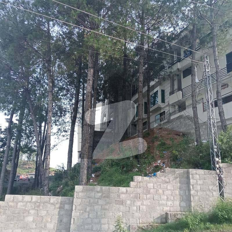 2.5 Kanal Land Available For Sale In Kaghan Colony Abbottabad Kaghan ...