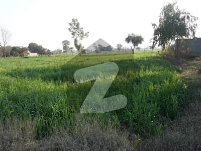 Prime Location Barki Road, Cantt, Lahore ID46636636 - Zameen.com