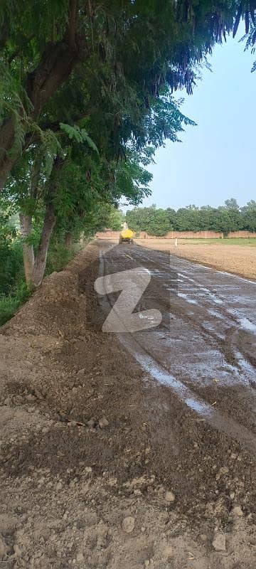44 Kanal Farm House Plot Thethar, Lahore ID46938720 - Zameen.com