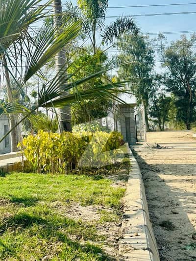 Farm House Land Barki Road Barki Road, Cantt, Lahore ID47102730 ...