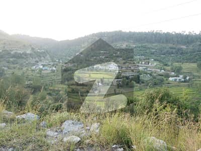 A Prime Location 40 Kanal Residential Plot Is Up For Grabs In Pir ...