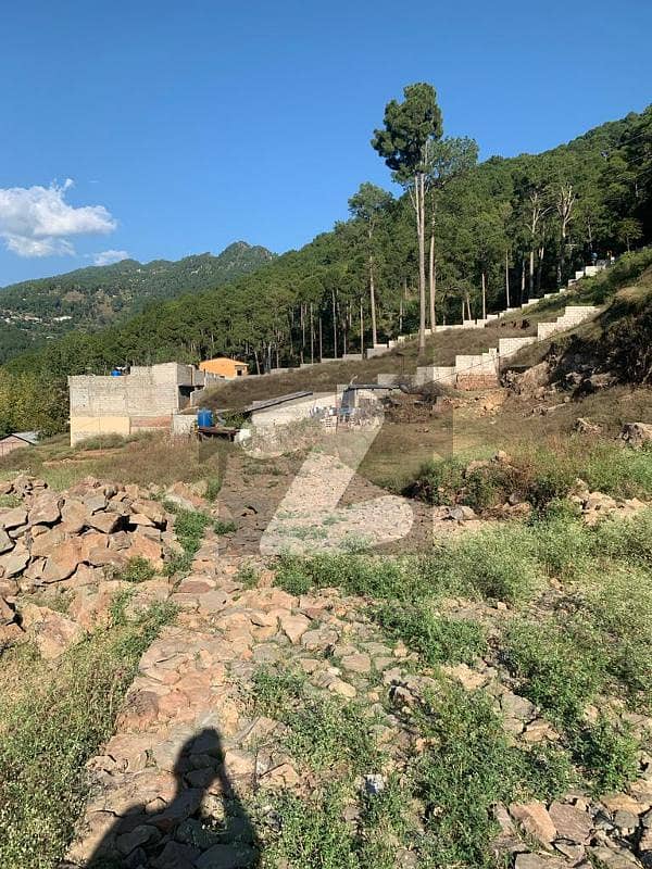 10 Kanal Developed Land in Murree Pine Tree Valley, Murree ID47551786 ...