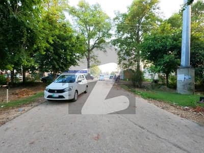 Ready To Sale A Residential Plot 3 Marla In Main Canal Bank Road Main ...