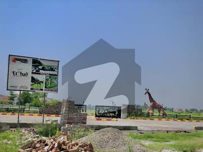 Pearl City Mardan Pearl City, Toru Road, Mardan ID48139587 - Zameen.com