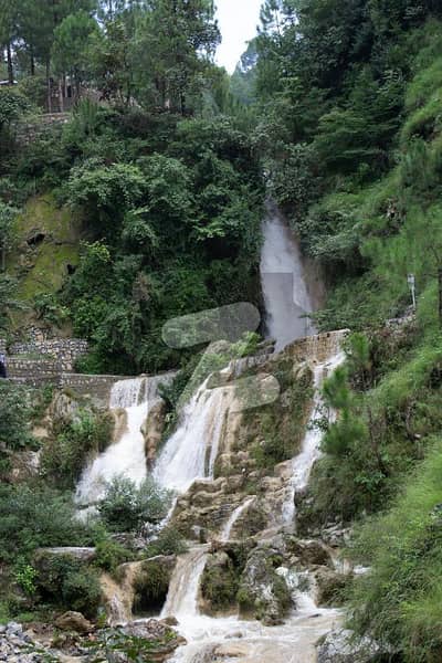 The Art Of Living In Pir Sohawa Islamabad Pir Sohawa Road, Pir Sohawa ...