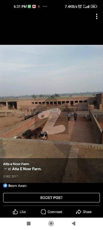 Dairy farm house and poultry farm house for rent Barki Road, Cantt ...