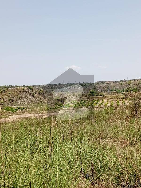 20 Kanal Farmhouse Land For Sale In Balkasar Chakwal Balkasar, Chakwal ...