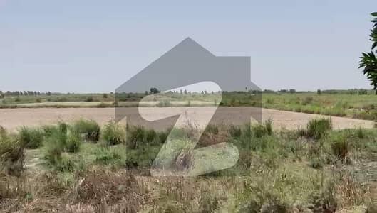 Agricultural Land and Agriculture Plots for Sale in Pakistan - Zameen.com