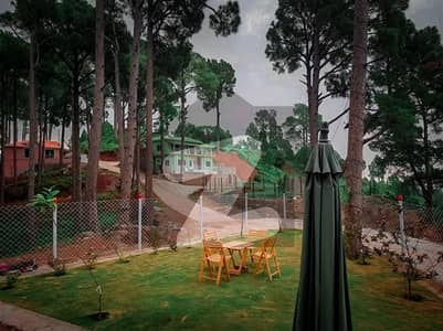 Ready To Sale A Residential Plot 5 Marla In New Murree New Murree ...