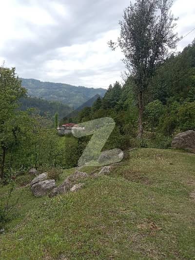 50/90 Plot For Sale G14/2 G-14/2, G-14, Islamabad ID49770992 - Zameen.com