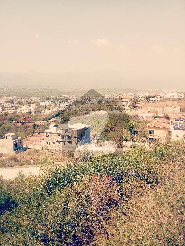 2 Kanal Plat Available In Bani Gala Near Nice Wu Rawal Dem Wu Available ...