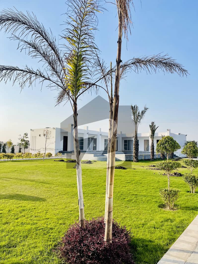 Charming 8-Kanal Vintage-Inspired Farmhouse for Sale at Bedian Road ...