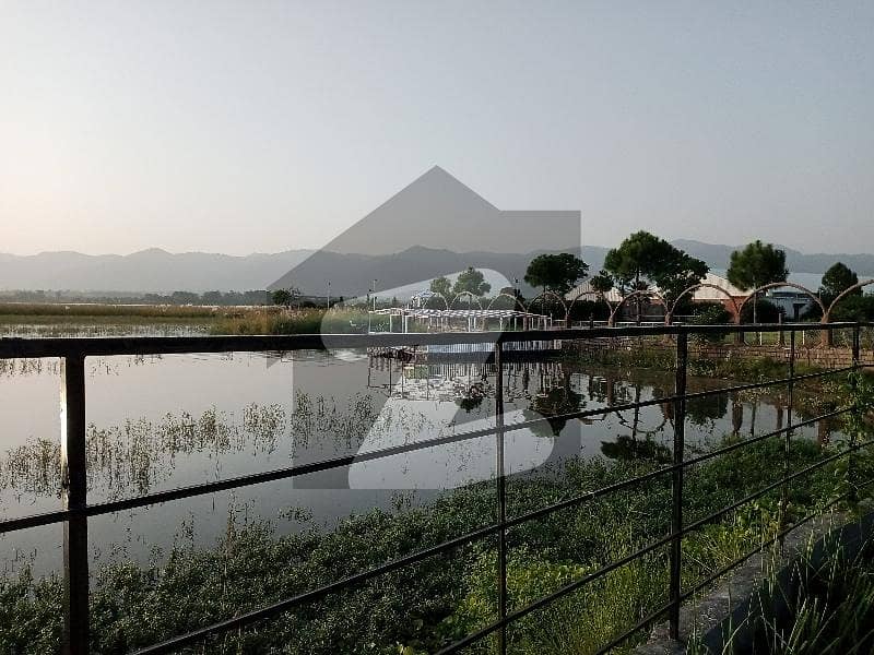 Banigala Lake View Farm Plot 5 Kanal Ideally Located Scenic View ...