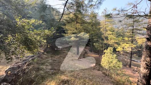 Plots for Sale in Murree - Pg 2 - Zameen.com