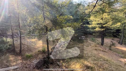 Plots for Sale in Murree - Zameen.com