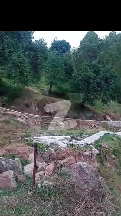 Murree Gorha Gali Plot For Sale Ghora Gali, Murree ID50366644 - Zameen.com
